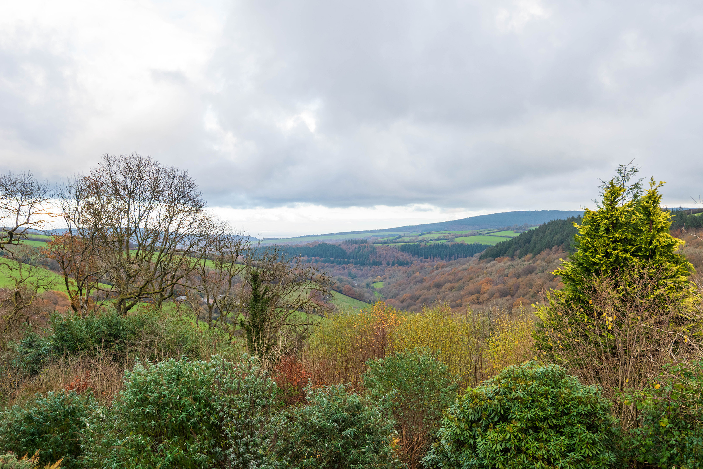 Holiday Cottages Exmoor | Toad Hall Cottages